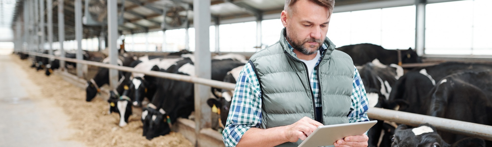 Farm Accountant Waikato | Agribusiness Accounting Hamilton